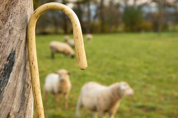 Psalm 23 The Lamb Our Shepherd Video ThePsalter Psalm 23 The Lamb Our Shepherd Video ThePsalter